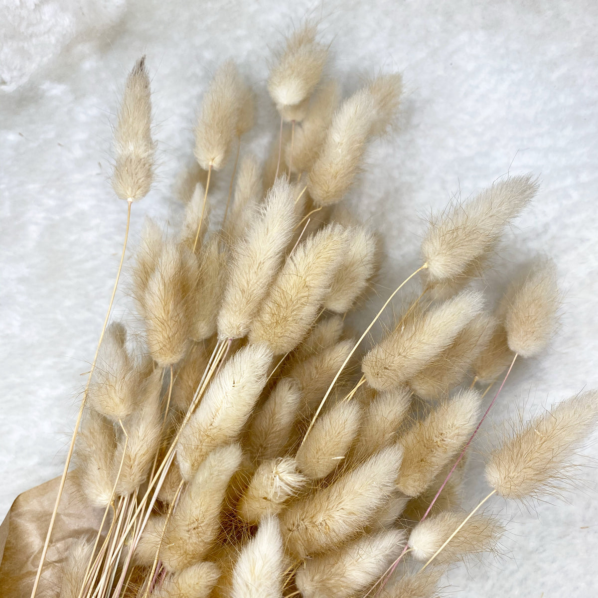 Natural Brown Bunny Tails – Olive & Bamboo