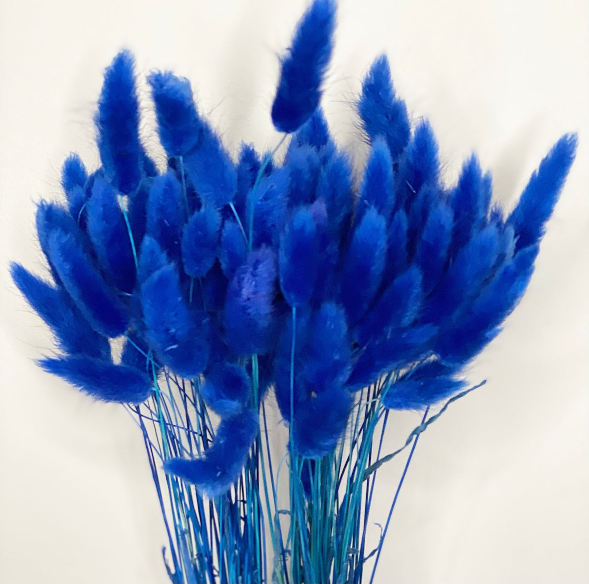Royal Blue Bunny Tails – Olive & Bamboo