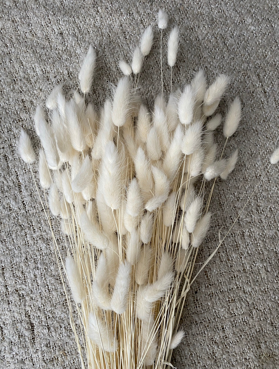 Ivory Bunny Tails – Olive & Bamboo